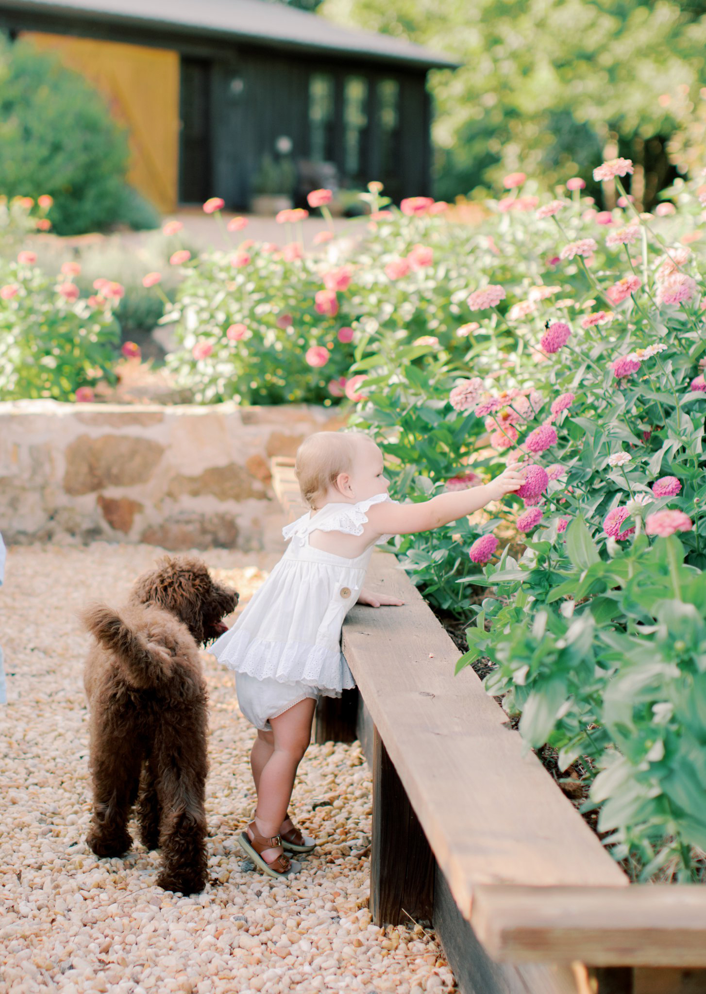 Athens GA: Finding the Perfect Family Photographer